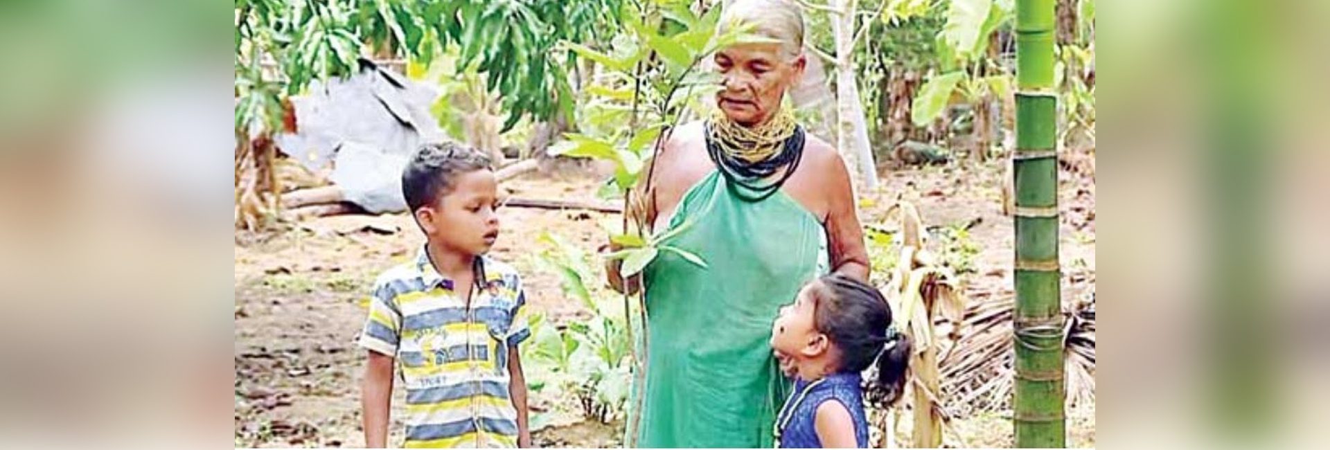 Watch the exceptional story of Thulasi Gouda, an ecologist who’s spent ...