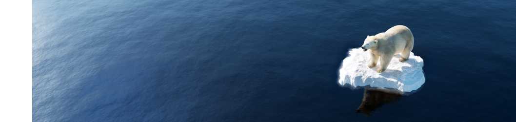 Time is running out for climate action: Arvind Chari - Global Indian Youth