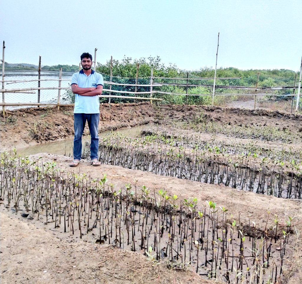 Soumya Ranjan Biswal Safeguarding Olive Ridley Turtle Eggs