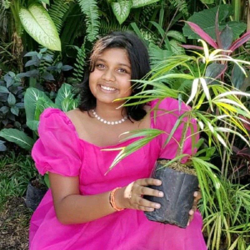 Manya Harsha: la guerrera ecológica convierte los residuos vegetales en ...